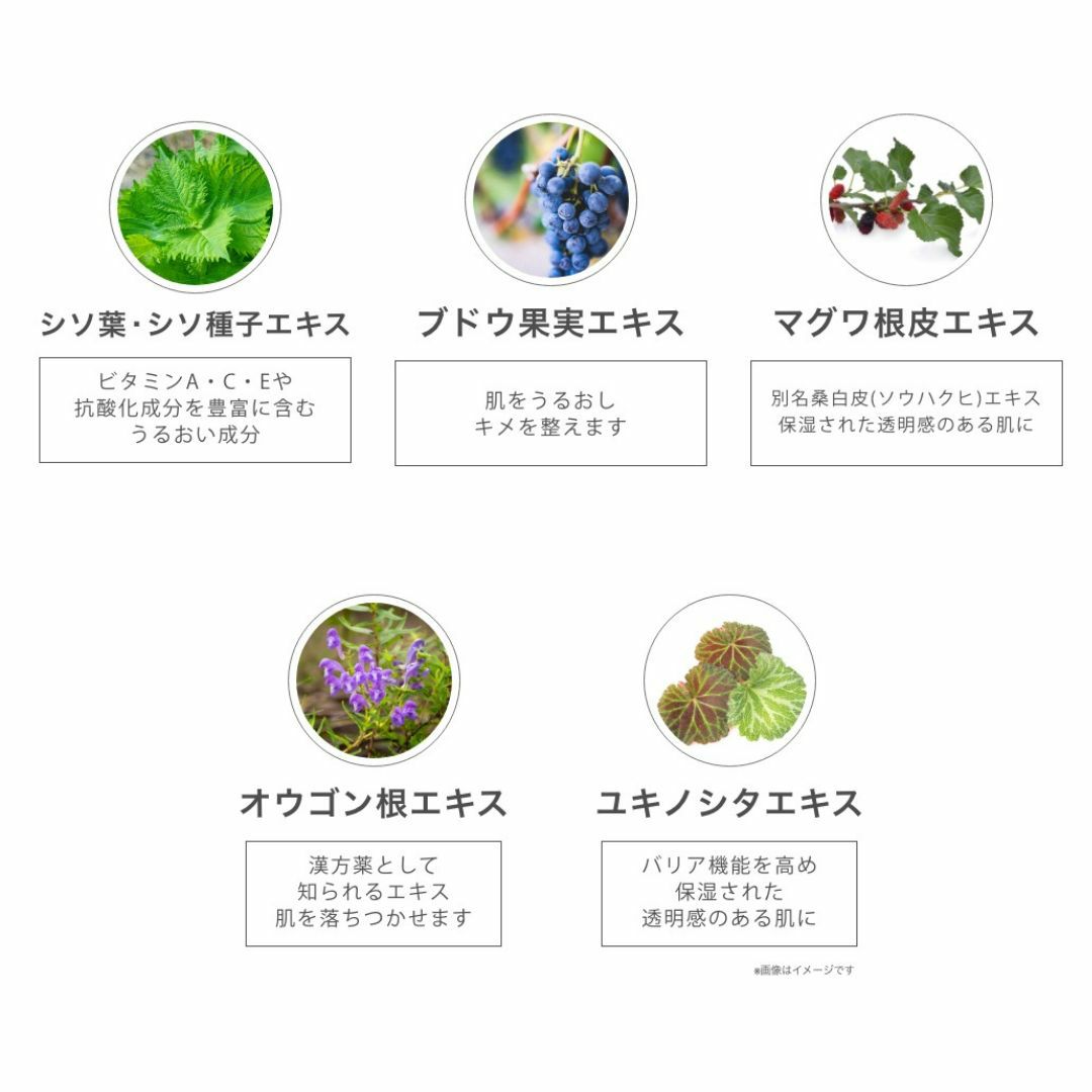 バイタライジングフェイスマスクSC《高密着モデリングマスク》 | THANN